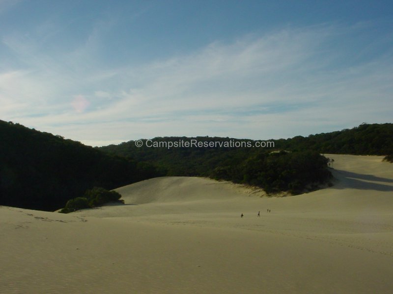 Great Sandy National Park - Fraser Island, Queensland, Australia
