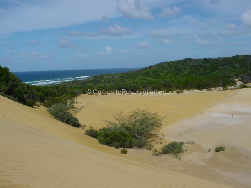 Great Sandy National Park - Fraser Island, Queensland, Australia