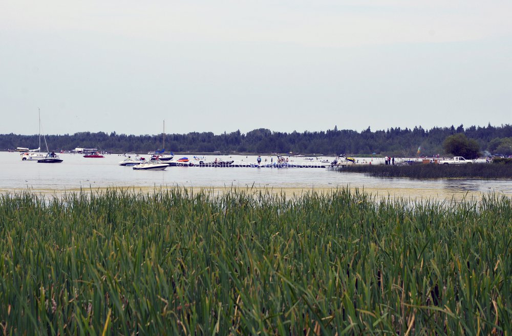 Campsite Reservations | Camping Reservations, Photos, Reviews, and ...