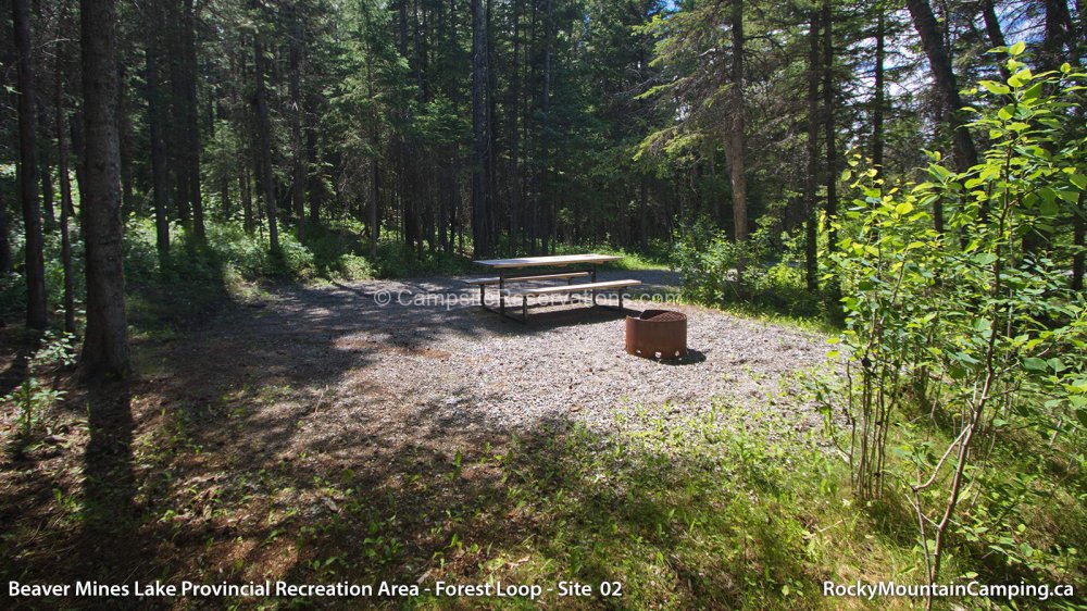 Campsite 02 in Beaver Mines Lake Provincial Recreation Area - Forest ...