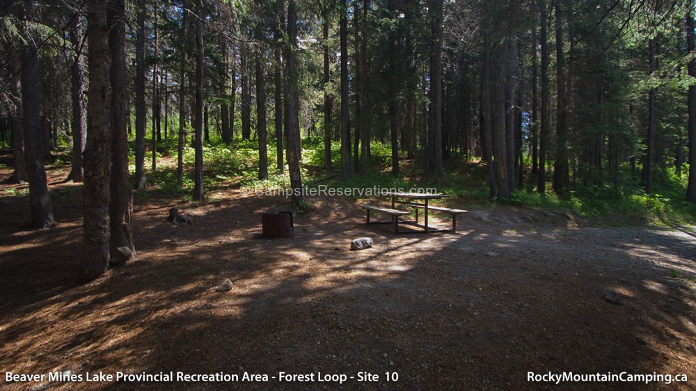 Campsite 10 in Beaver Mines Lake Provincial Recreation Area - Forest ...