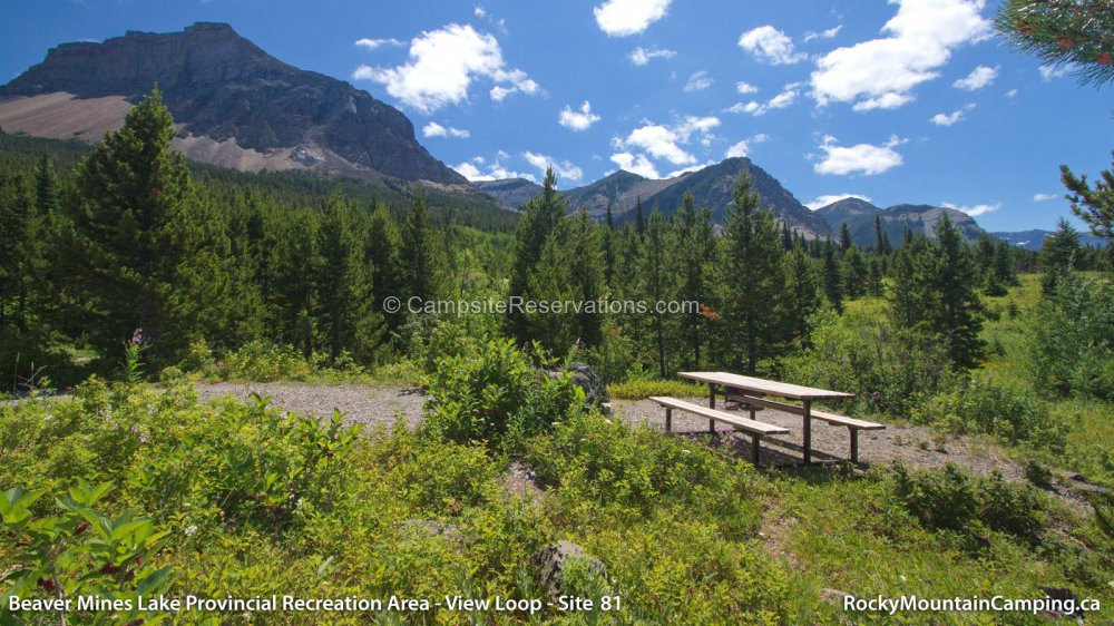 Campsite 81 in Beaver Mines Lake Provincial Recreation Area - View Loop ...