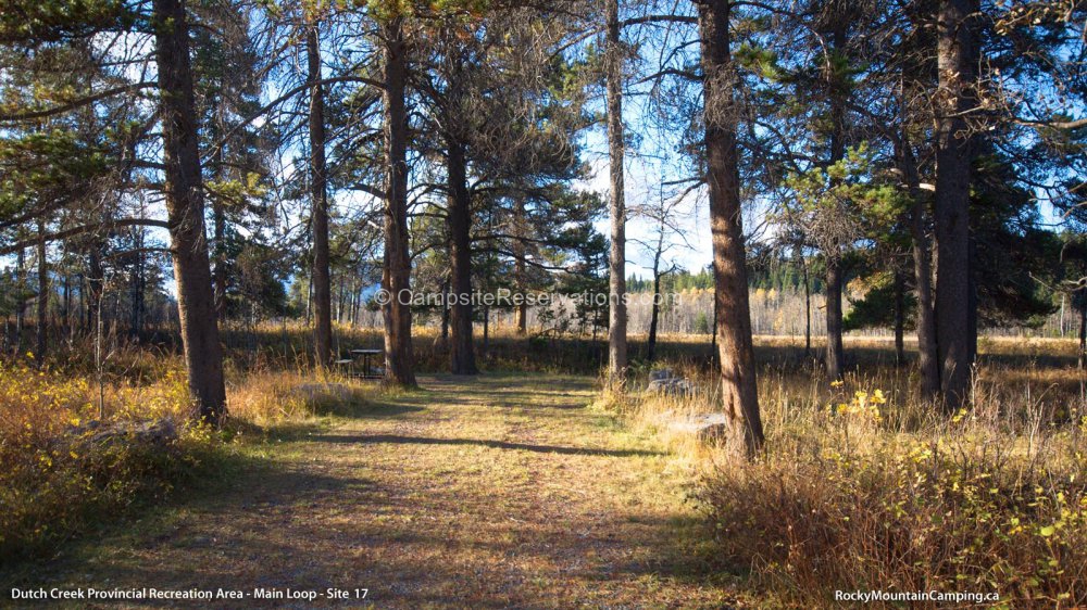 Photo of Campsite 17 in Castle River Bridge - Main Loop at Castle River ...