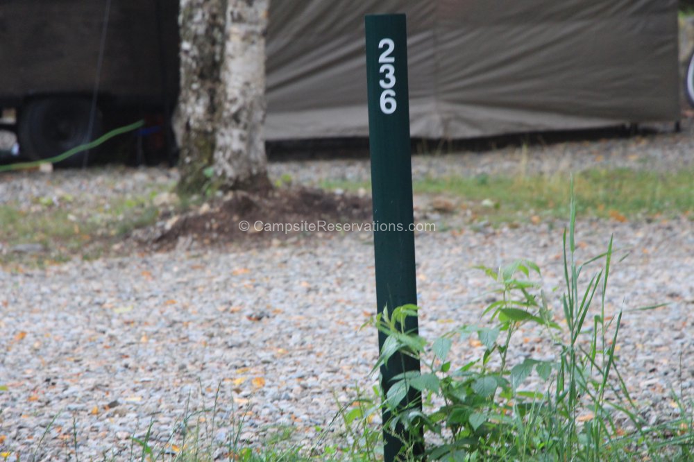 Photo of Campsite 236 in Chignecto North Campground at Fundy National ...