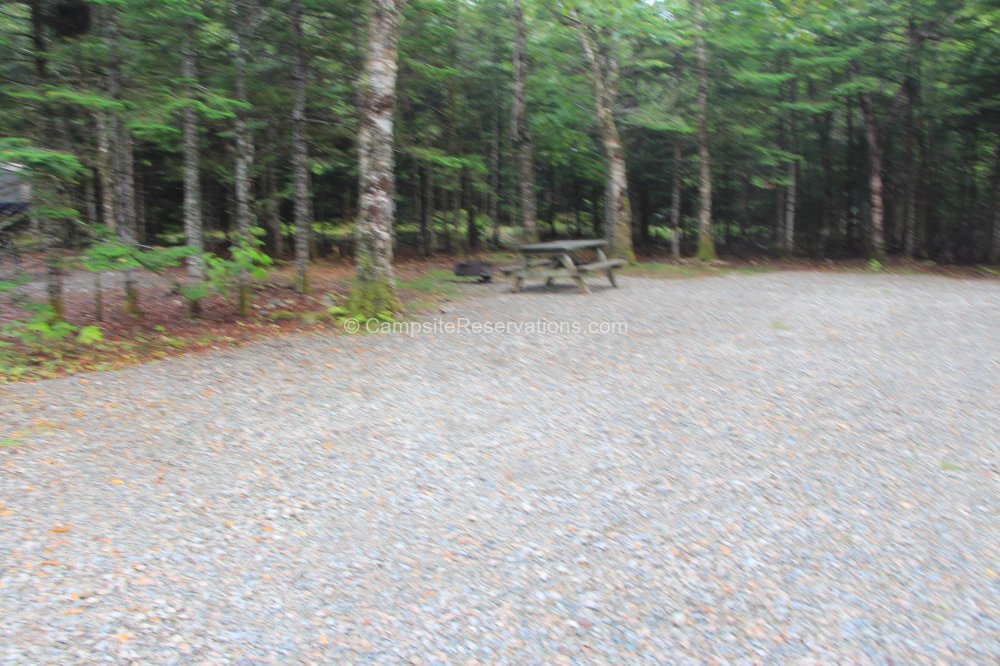 Photo of Campsite 236 in Chignecto North Campground at Fundy National ...