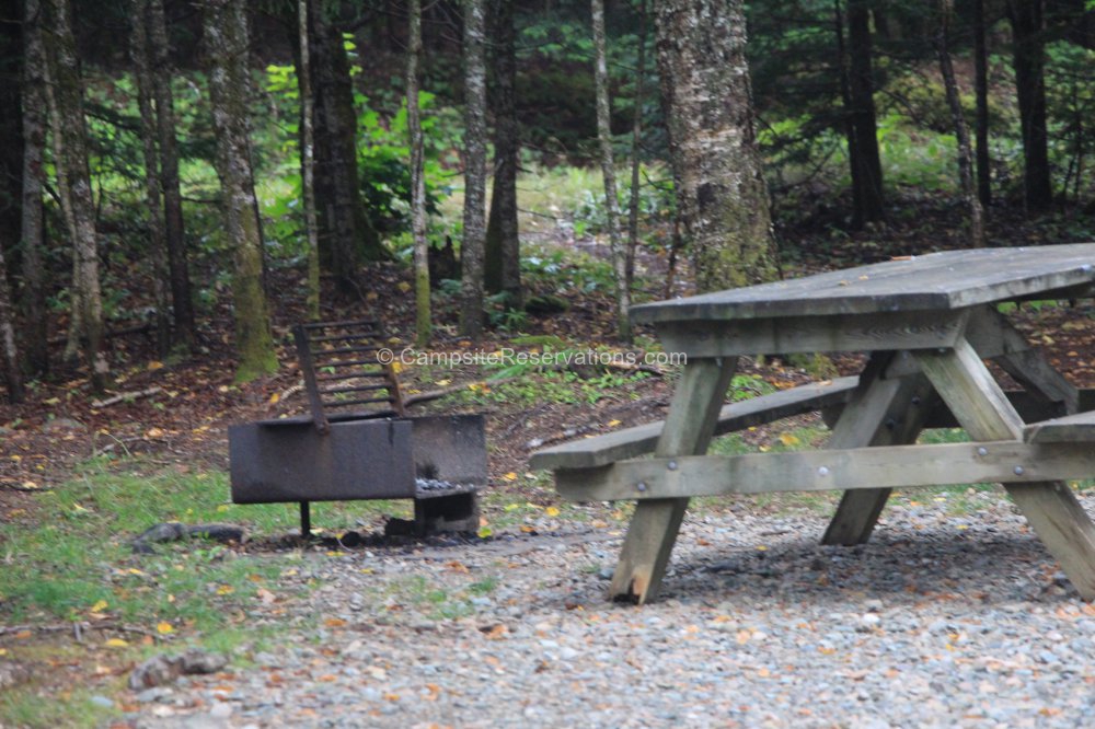 Photo of Campsite 236 in Chignecto North Campground at Fundy National ...