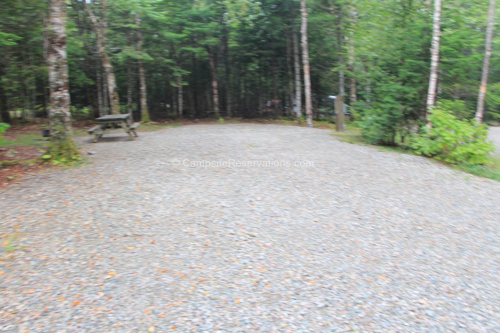 Photo of Campsite 236 in Chignecto North Campground at Fundy National ...