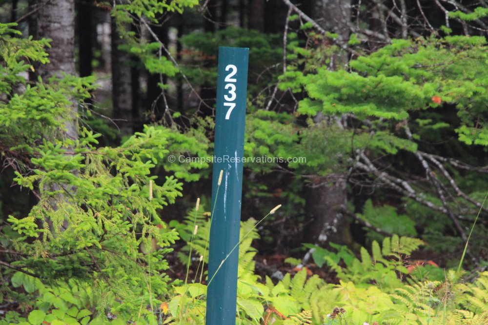 Campsite 237 in Chignecto North Campground at Fundy National Park, New ...