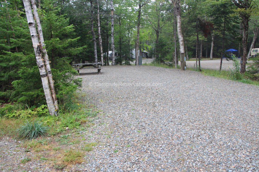 Campsite 237 in Chignecto North Campground at Fundy National Park, New ...