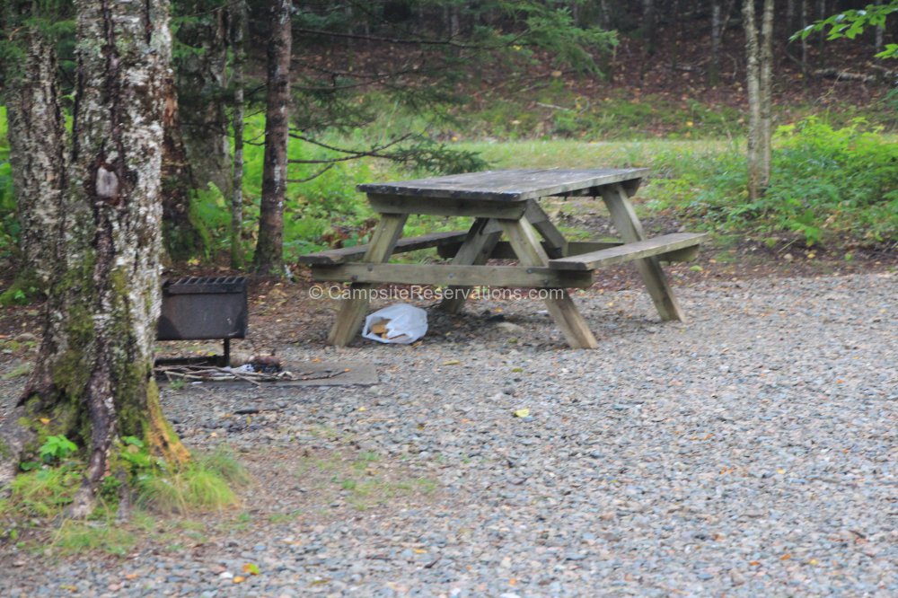 Campsite 240 in Chignecto North Campground at Fundy National Park, New ...