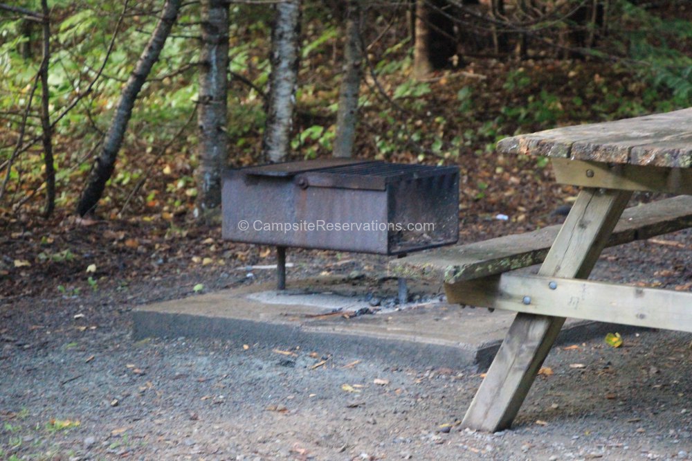 Campsite 278 in Chignecto North Campground at Fundy National Park, New ...