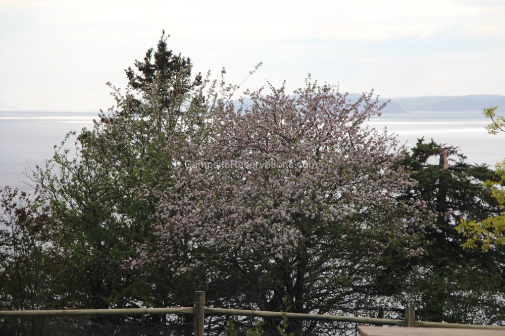 Five Islands Provincial Park Campground at Five Islands Provincial Park ...