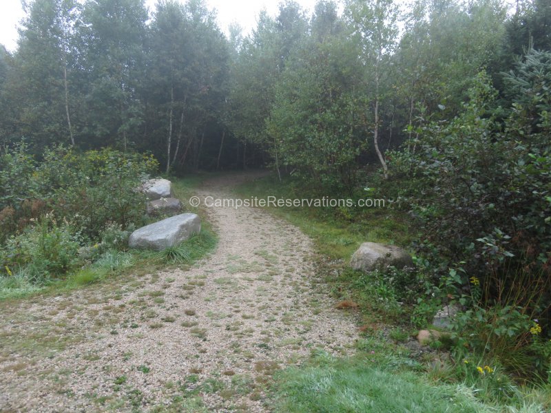 Graves Island Provincial Park Campground at Graves Island Provincial ...