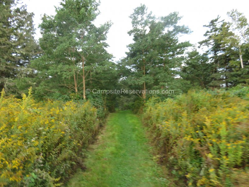 Graves Island Provincial Park Campground at Graves Island Provincial ...