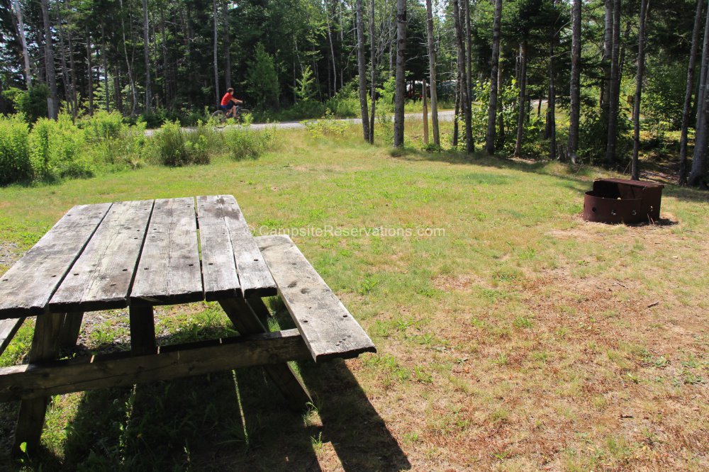 Campsite 100 in Mira River Provincial Park Campground at Mira River ...
