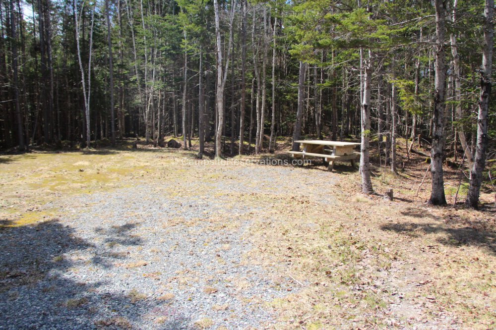 Campsite 150 in Mira River Provincial Park Campground at Mira River ...