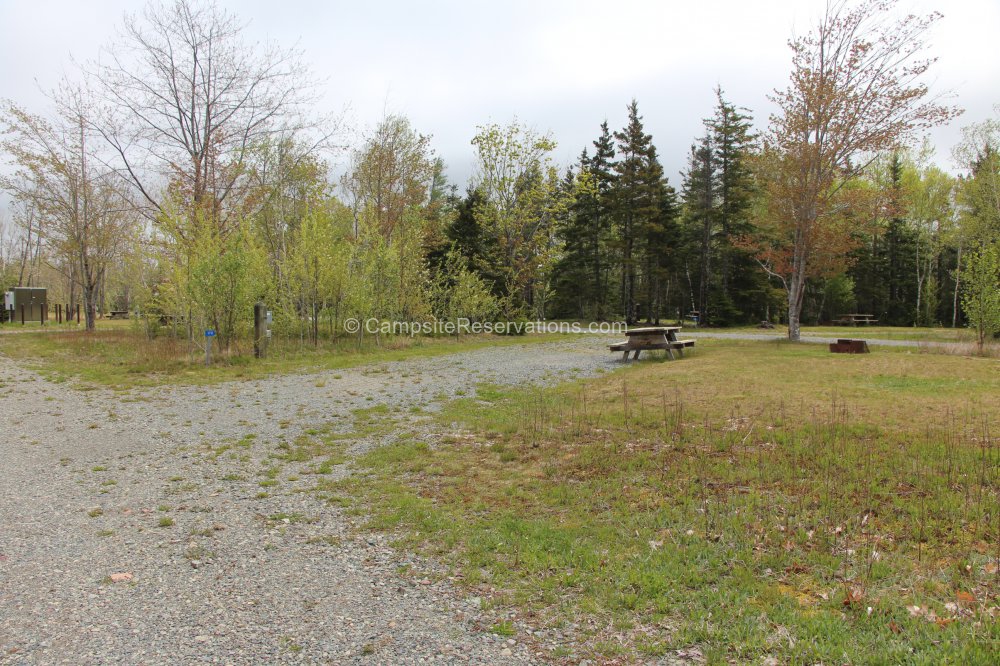 Campsite 170 in Mira River Provincial Park Campground at Mira River ...