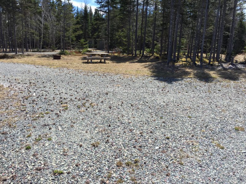 Campsite 173 in Mira River Provincial Park Campground at Mira River ...