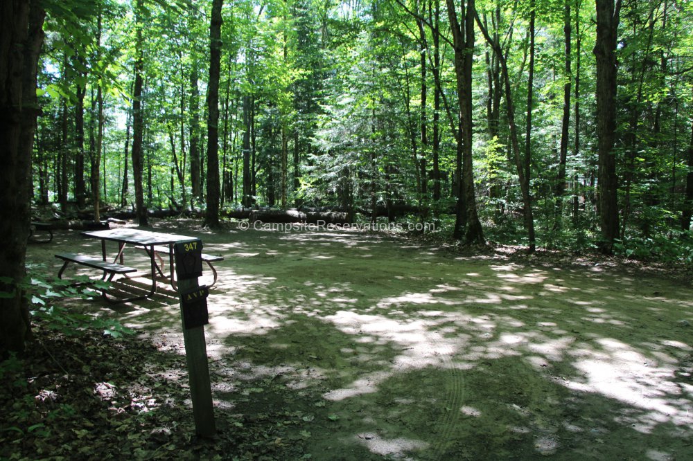 Photo of Campsite 347 in East River Campground at Arrowhead Provincial ...