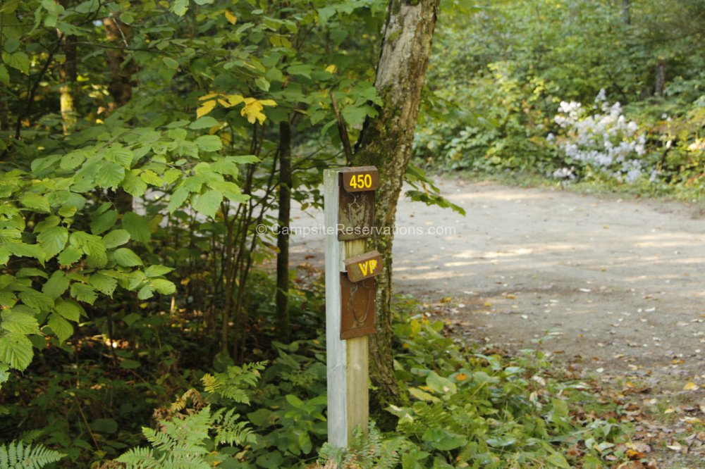 Photo of Campsite 450 in Roe Campground at Arrowhead Provincial Park ...