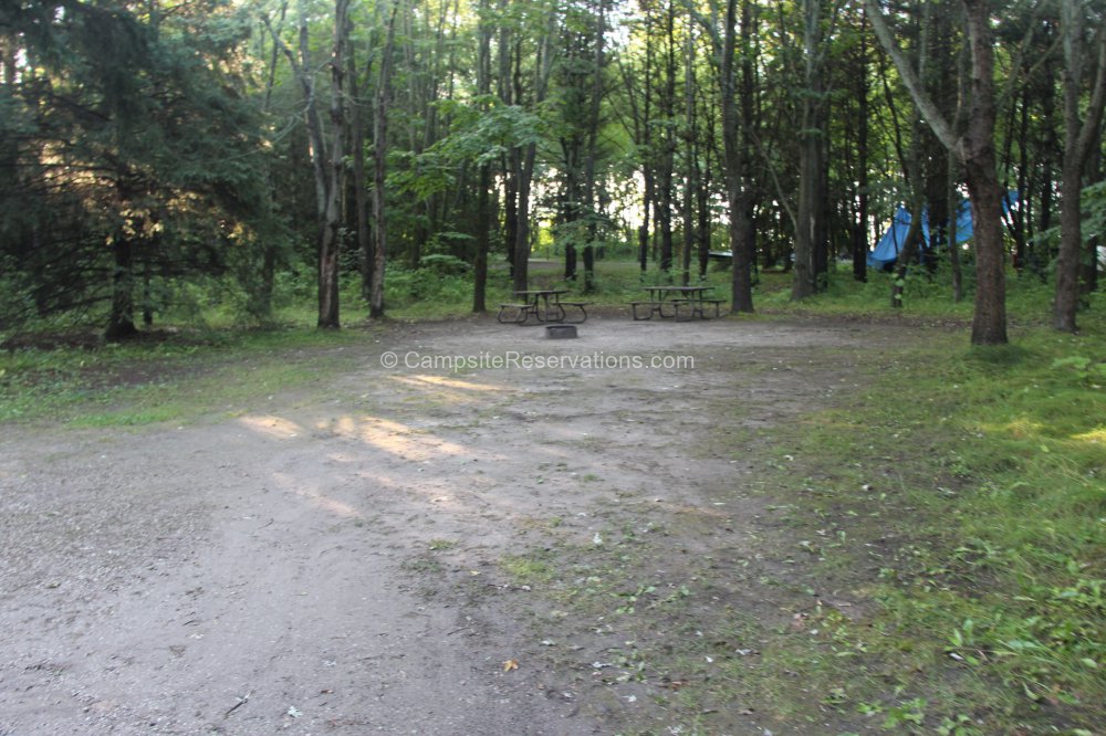 Photo of Campsite 211 in Lakeview Campground at Bass Lake Provincial ...