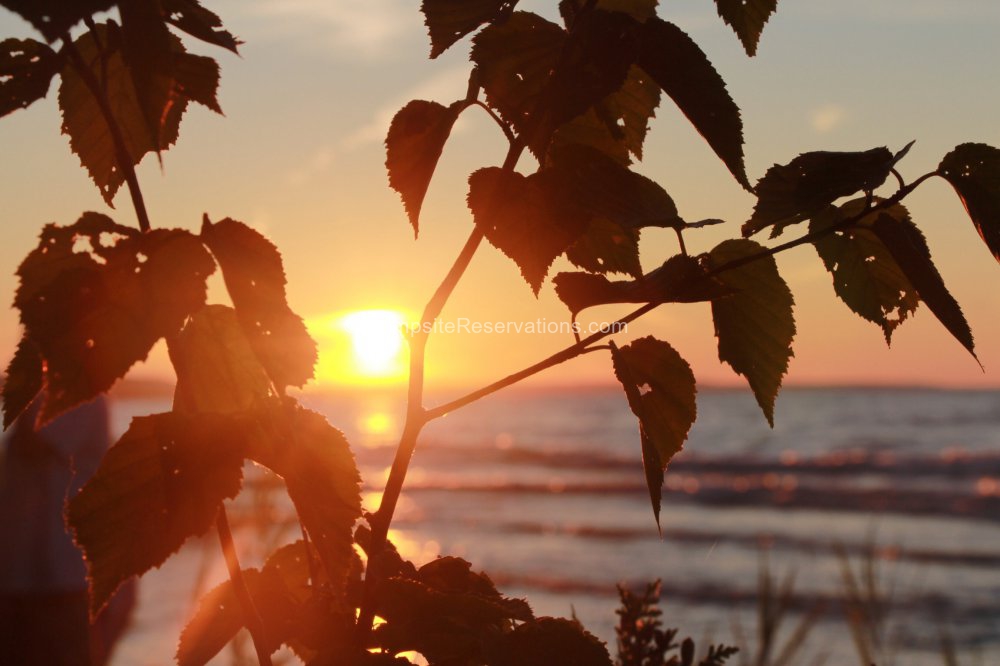 Craigleith Provincial Park, Ontario, Canada