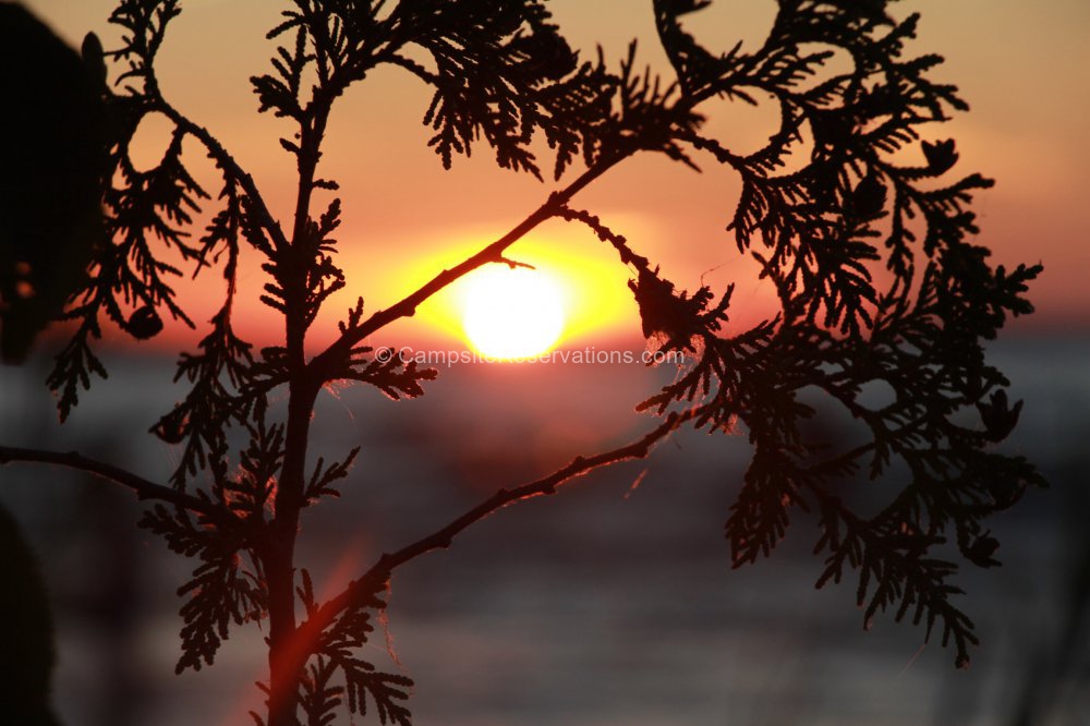 Craigleith Provincial Park, Ontario, Canada