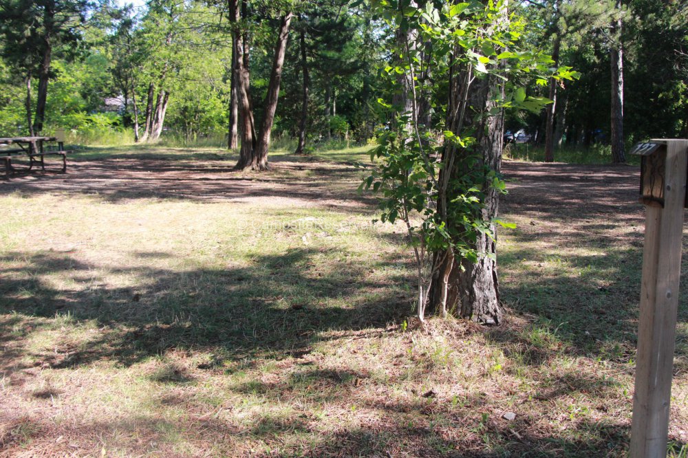Campsite 127 in Craigleith Provincial Park Campground - B Loop at ...