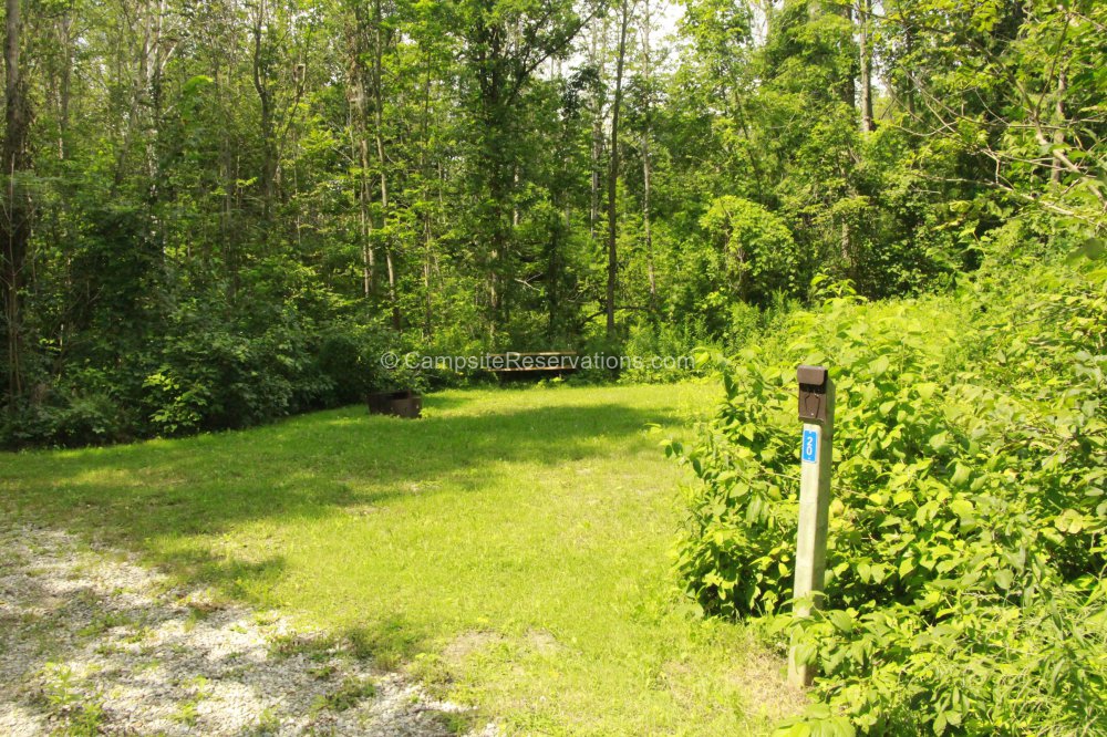 Photo of Campsite 20 in Rabbit Loop Campground at Earl Rowe Provincial ...