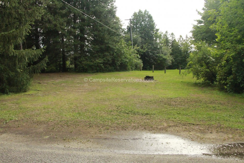 Photo of Campsite 200 in Fletcher Field Campground at Earl Rowe ...