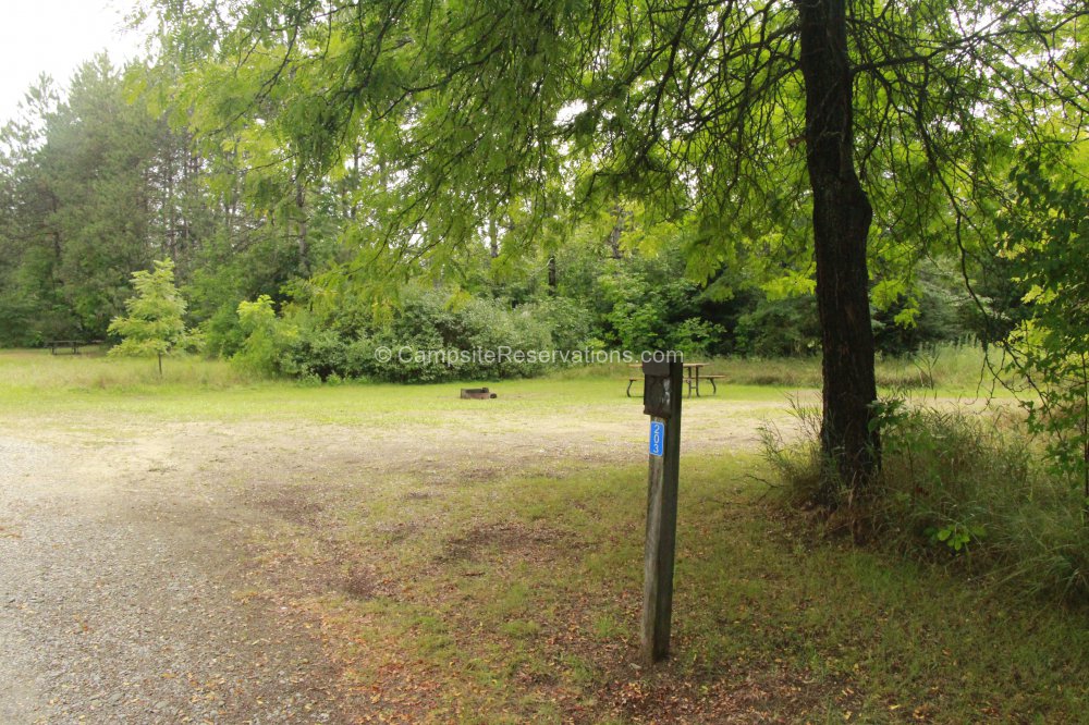 Photo of Campsite 203 in Fletcher Field Campground at Earl Rowe ...