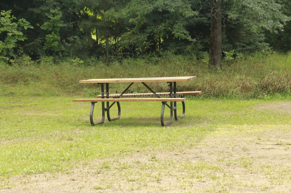 Photo of Campsite 203 in Fletcher Field Campground at Earl Rowe ...
