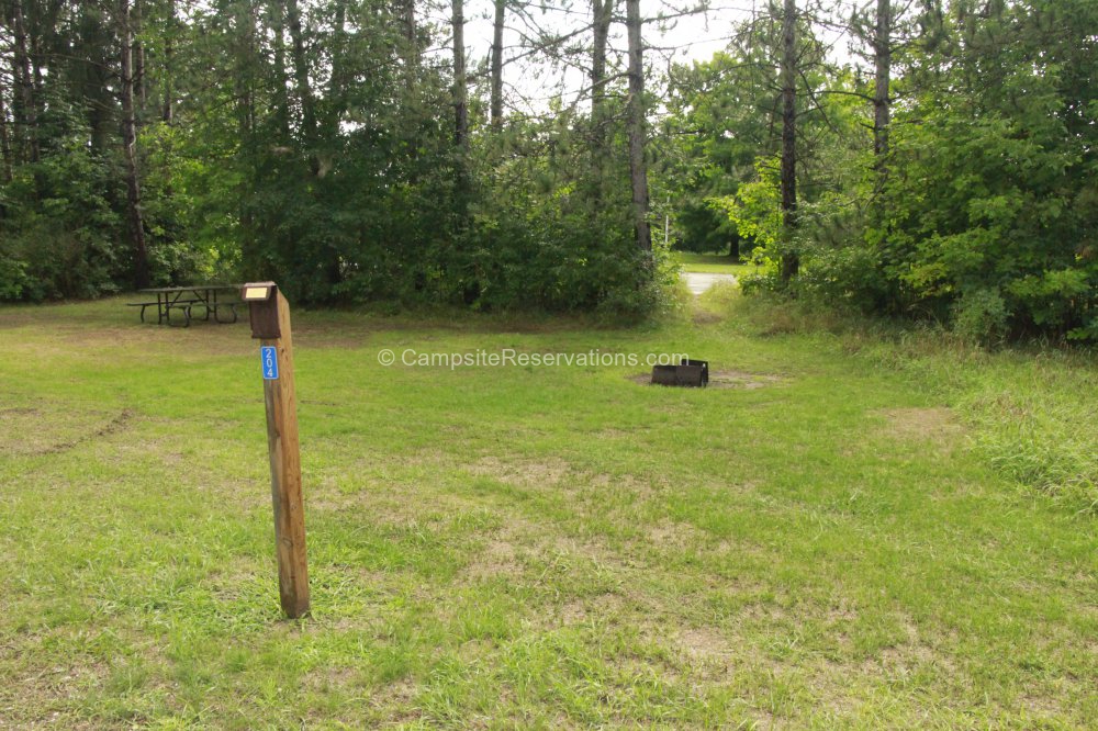 Photo of Campsite 204 in Fletcher Field Campground at Earl Rowe ...
