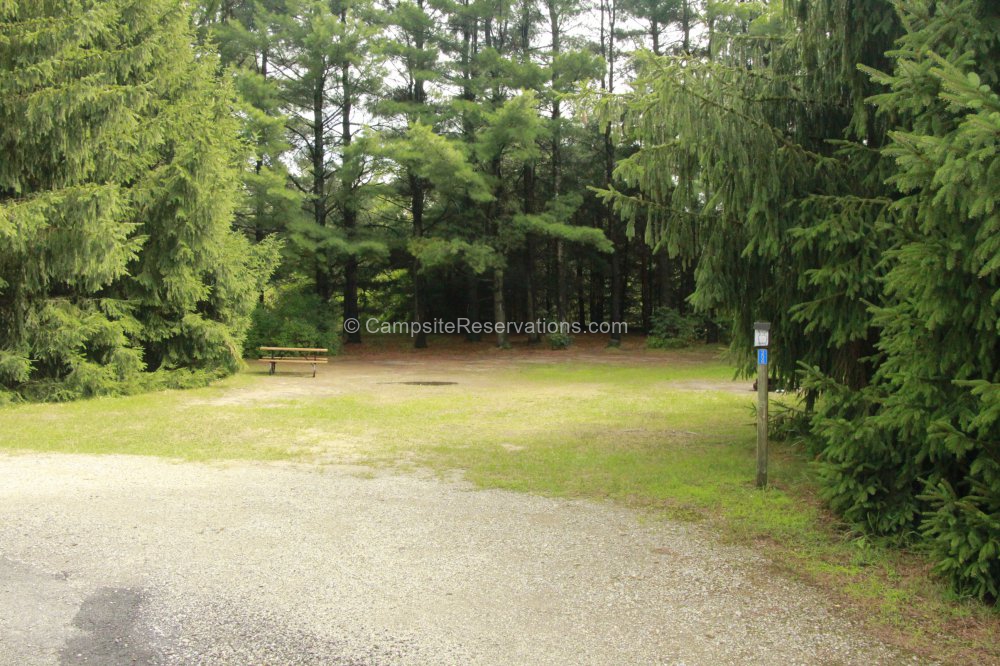 Photo of Campsite 206 in Fletcher Field Campground at Earl Rowe ...
