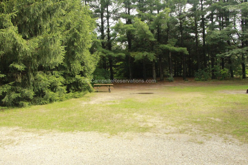 Photo of Campsite 206 in Fletcher Field Campground at Earl Rowe ...