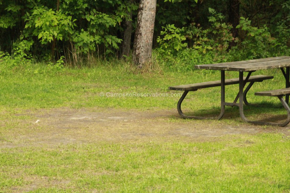 Photo of Campsite 227 in Fletcher Field Campground at Earl Rowe ...