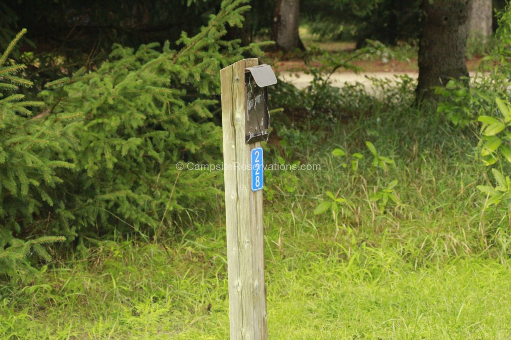 Campsite 228 in Fletcher Field Campground at Earl Rowe Provincial Park ...