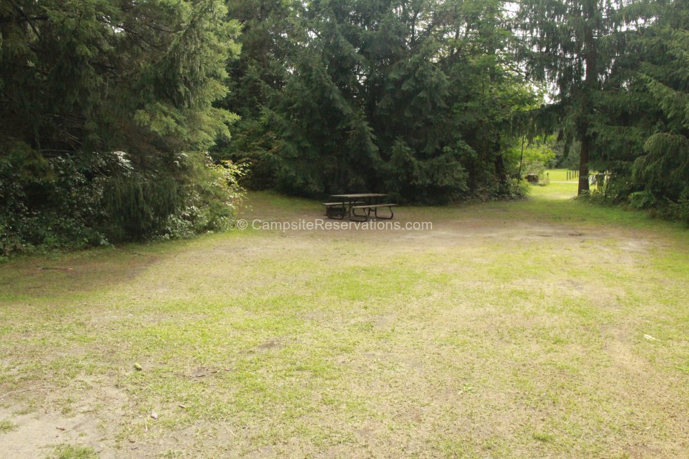 Campsite 228 in Fletcher Field Campground at Earl Rowe Provincial Park ...