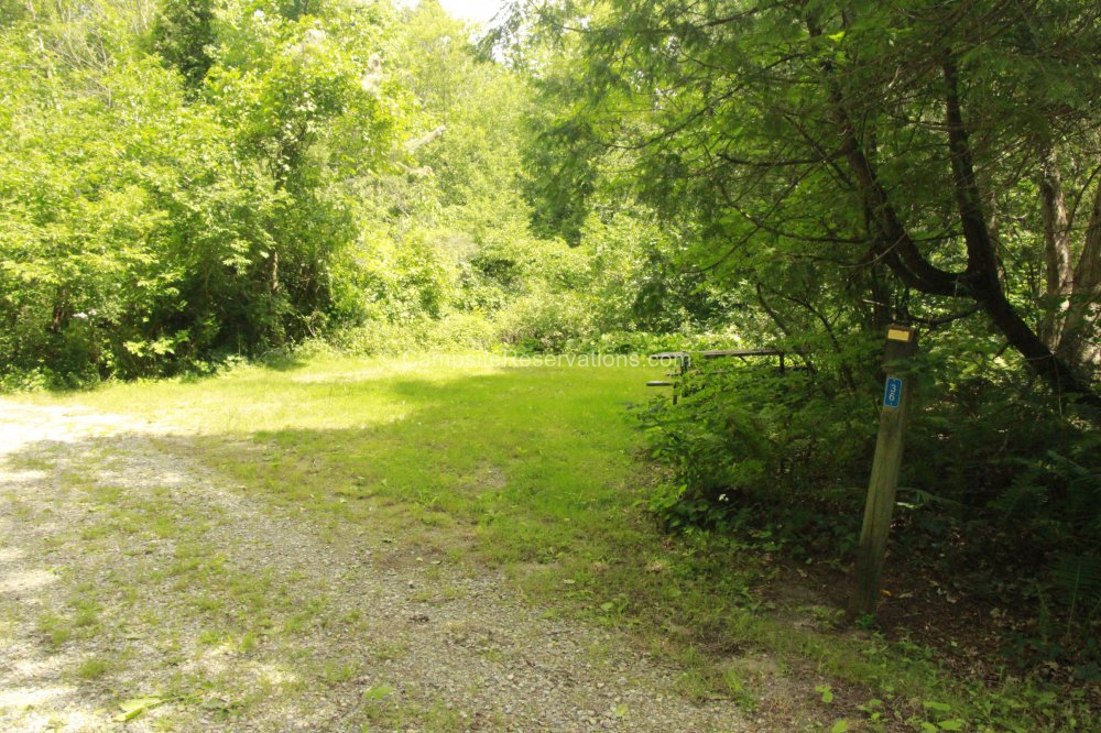 Photo of Campsite 36 in Rabbit Loop Campground at Earl Rowe Provincial ...