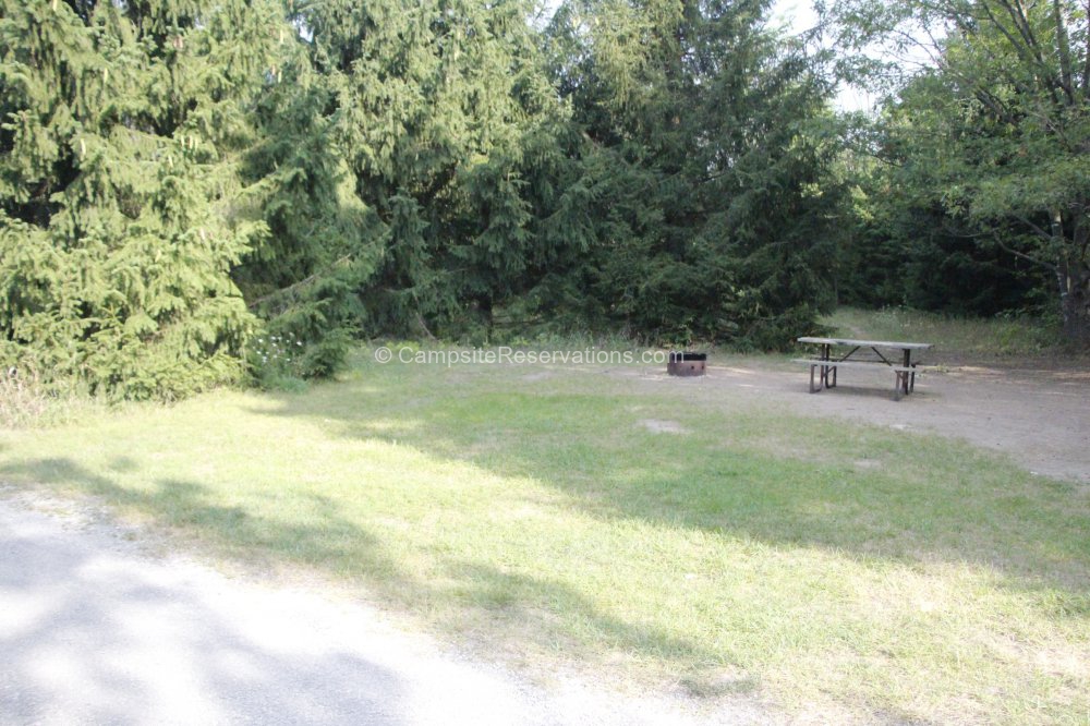Photo of Campsite 804 in Meadowbrook Campground at Earl Rowe Provincial ...