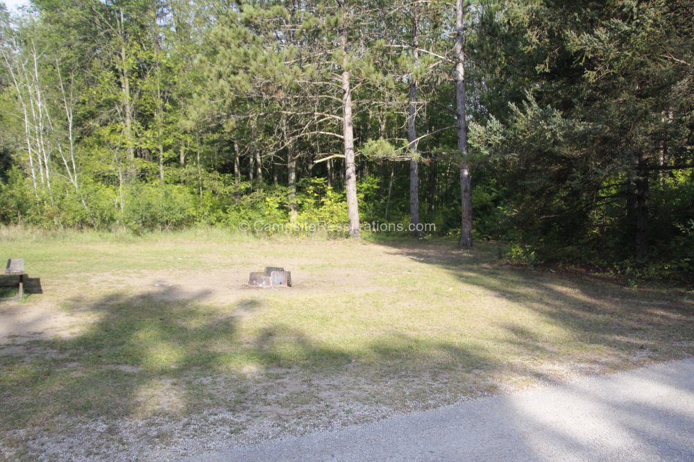 Photo of Campsite 811 in Meadowbrook Campground at Earl Rowe Provincial ...
