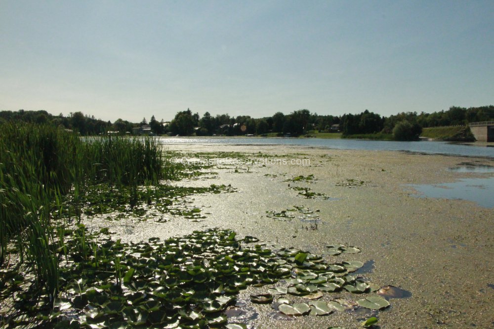 Photo of Emily Provincial Park, Ontario, Canada