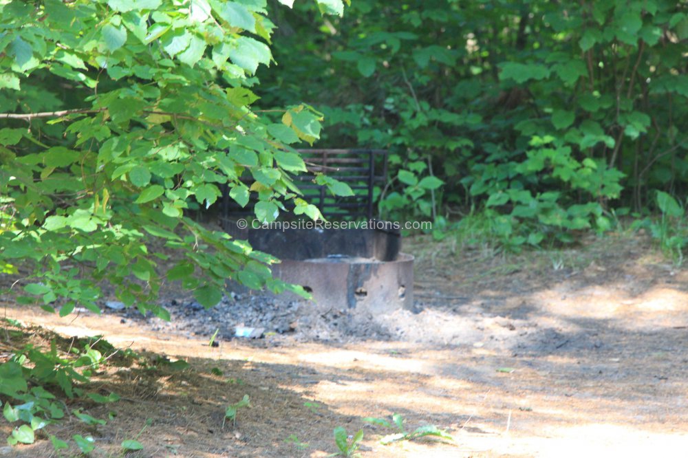 Photo of Campsite 363 in Poplar Campground at Grundy Lake Provincial ...