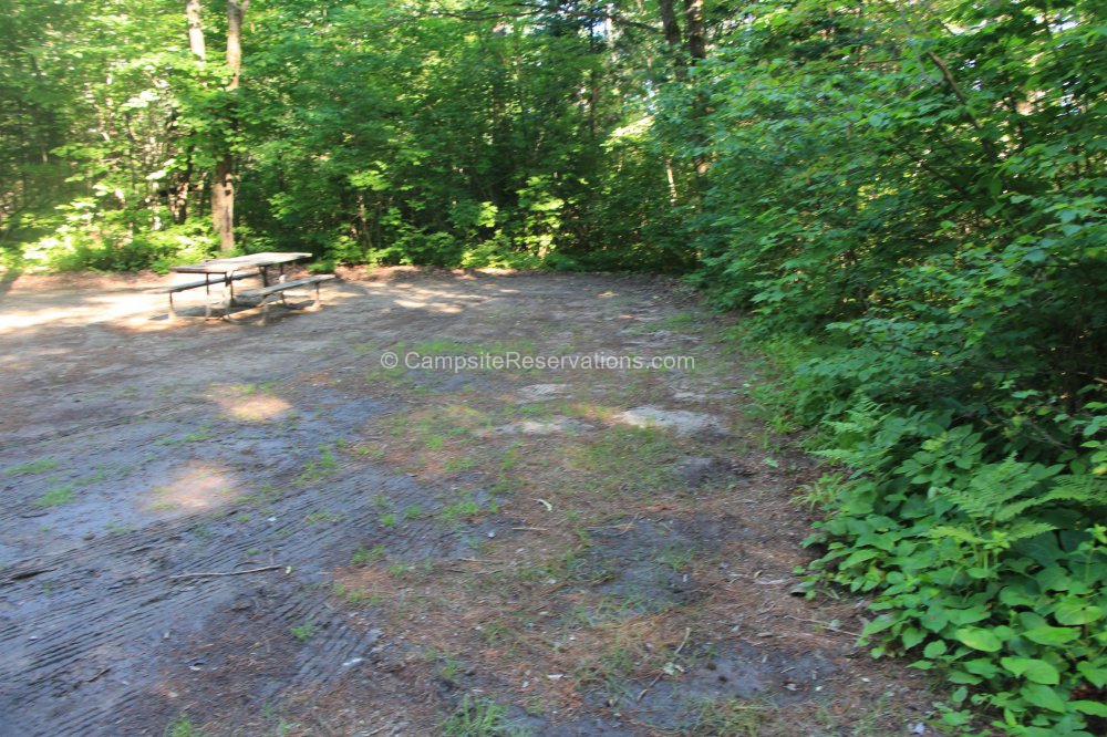Photo of Campsite 365 in Poplar Campground at Grundy Lake Provincial ...