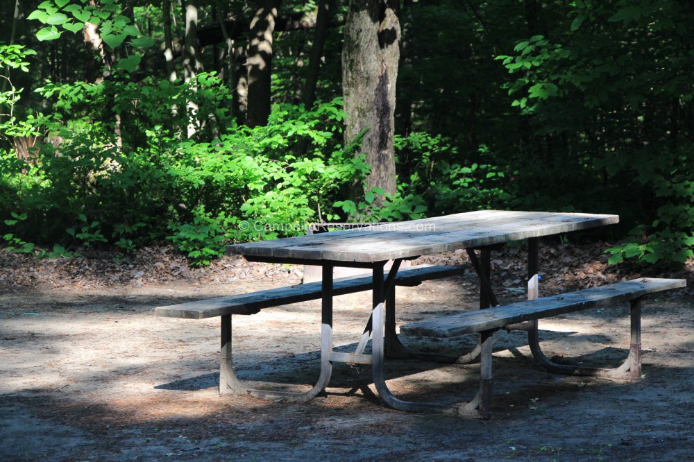 Photo of Campsite 365 in Poplar Campground at Grundy Lake Provincial ...