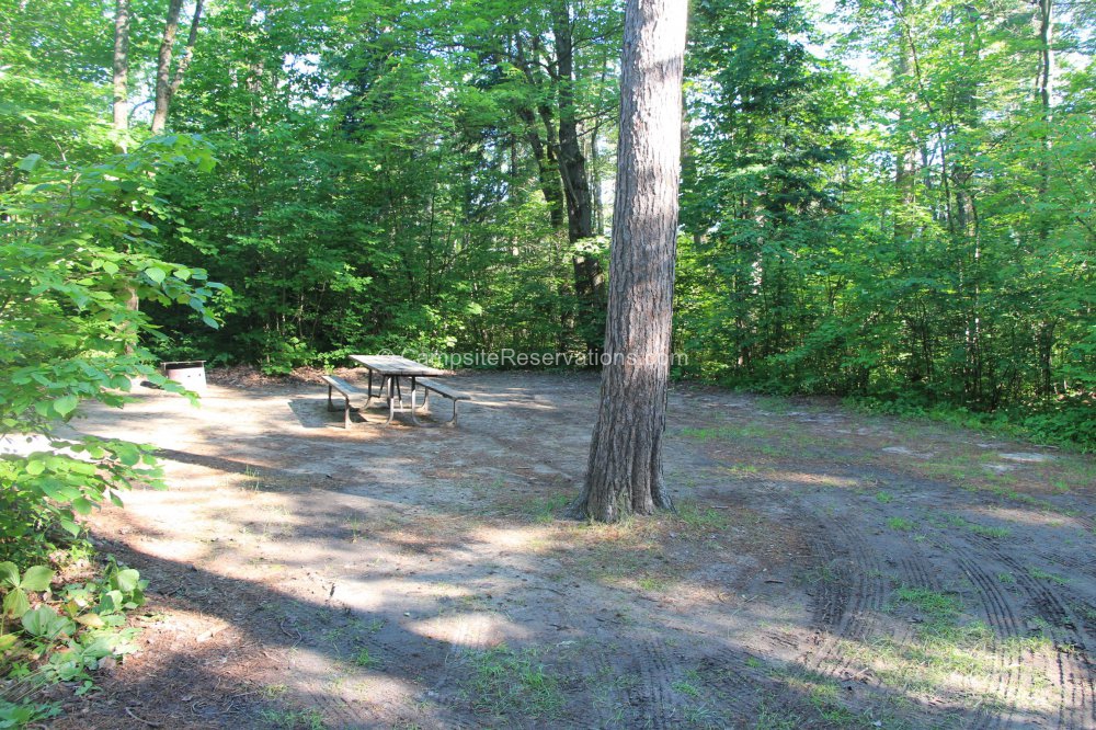 Photo of Campsite 365 in Poplar Campground at Grundy Lake Provincial ...
