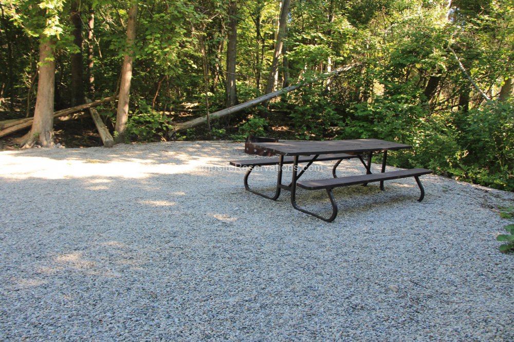 Campsite 143 in Lime Kiln Campground at Inverhuron Provincial Park ...