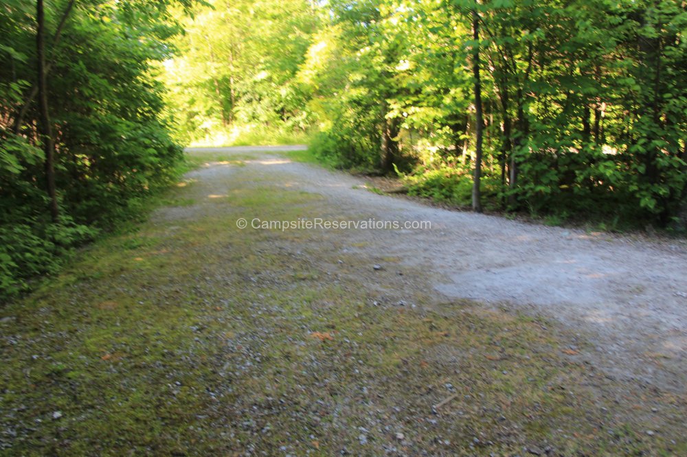 Photo of Campsite 45 in Gunn Point Campground at Inverhuron Provincial ...
