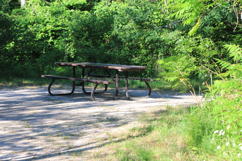 Photo of Campsite 54 in Gunn Point Campground at Inverhuron Provincial ...