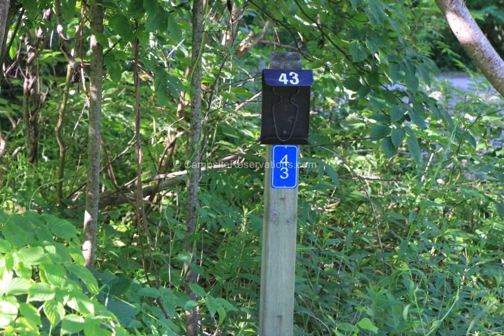 Photo of Campsite 43 in Gunn Point Campground at Inverhuron Provincial ...